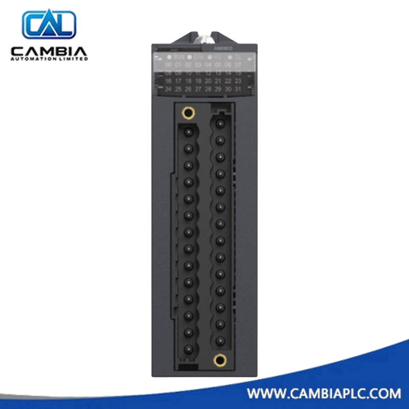 Schneider Modicon X80 BMXAMI0800 Analog Input Module