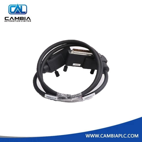 Foxboro HDLC Base to Base Cable 1m | P0916MZ PLC